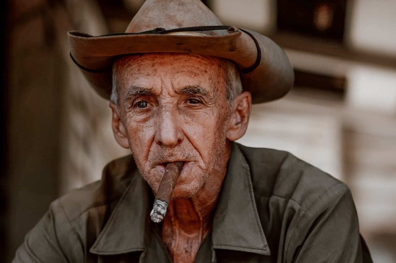 The Journey of a Premium Cigar: From Seed to Smoke – Everyday Guide ...